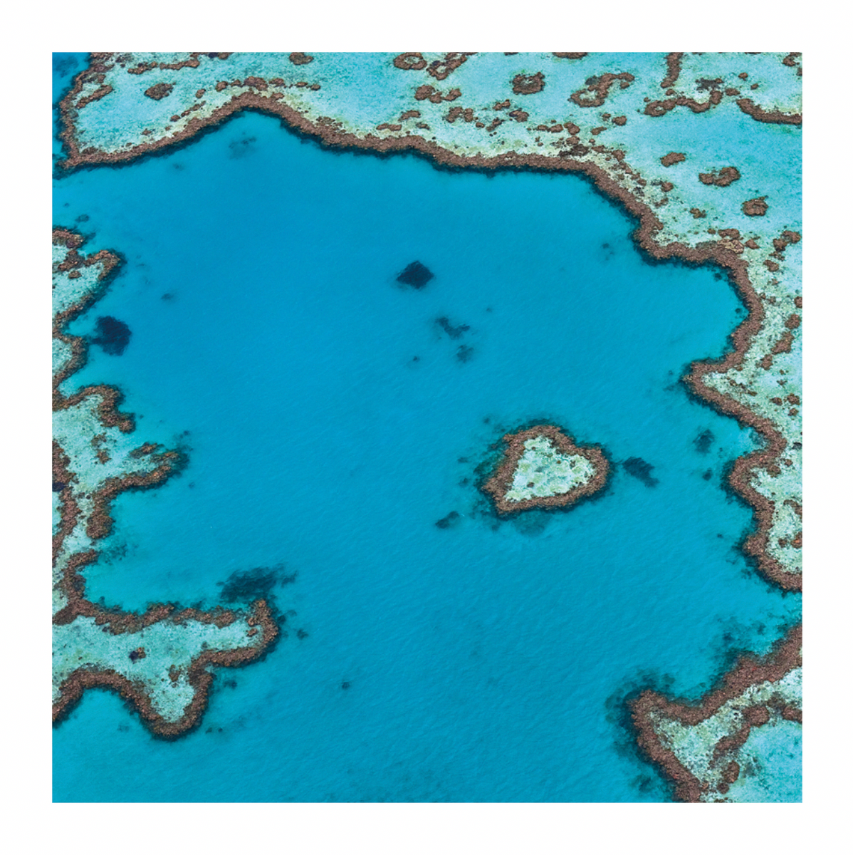 Blank - Great Barrier Reef – Take Note Stationery Boutique